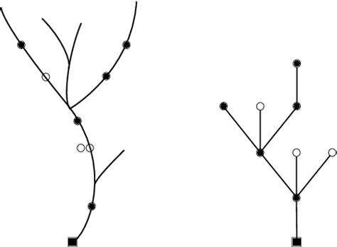 Figure 11 From On Trees Invariant Under Edge Contraction By Olivier