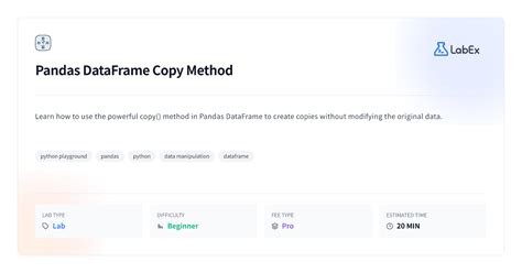 Mastering Pandas DataFrame Copy Method | LabEx