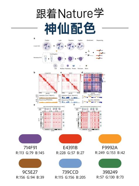 顶刊配色方案大公开！让你的论文图表更具高级感 公司新闻 美国期刊专家 Aje 丁香通官方旗舰店