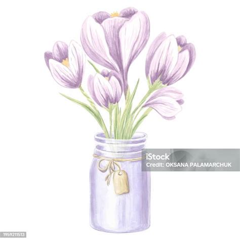 보라색 Crocuses 꽃의 수채화 꽃다발 와 Tag 유리병에 봄 꽃의 고립 된 손으로 그린 그림입니다 카드 포장용 식기 직물 및 스티커 자수를 위한 꽃무늬 템플릿 0명에