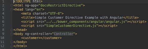 Custom Elements Angularjs Vs Polymer Sven Malvik