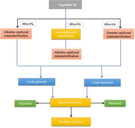 Biodiesel Production Through Different Transesterification Methods Download Scientific Diagram