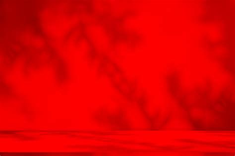 빈 스튜디오 내부 배경과 배경 스탠드 제품 디스플레이에는 텍스트를 삽입하기 위한 빈 텍스트 배경에 그림자와 빨간색 나뭇잎이