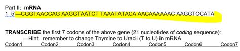 solved part il mrna 1 5 cggtaaccag aaggtaatct taaatataca