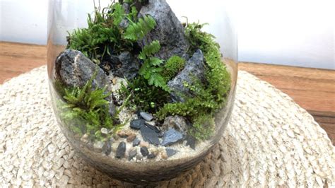 물방울 모양 유리병으로 테라리움 만들기 내츄럴팟 Youtube