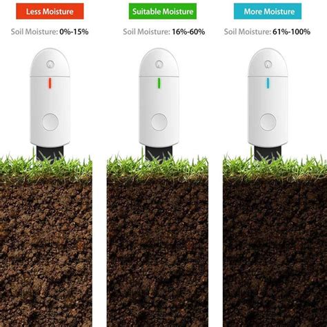 Smart Portable Soil Moisture Detector At Mighty Ape Australia