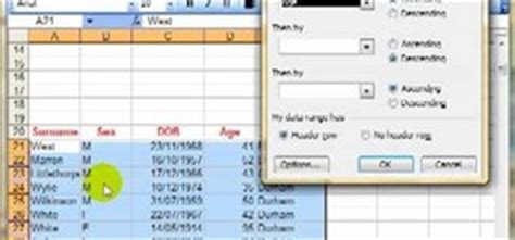 How To Sort Data By Multiple Columns In Microsoft Excel Microsoft Office WonderHowTo
