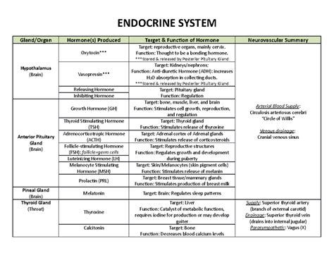 Endocrine System Glands Hormones And Functions Chart