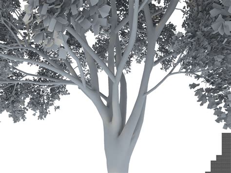 tree leaves 3d turbosquid 1338332