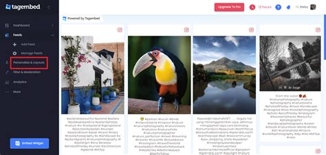 How To Embed Instagram Slider Widget On Wordpress Website