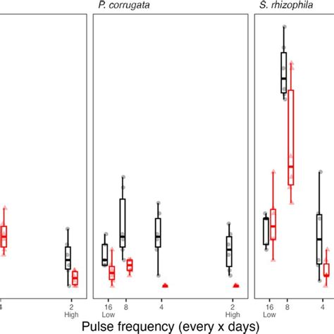 Density Cfu Per Microcosm Of Five Bacterial Species After 16 Days In Download Scientific
