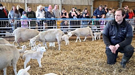 Reaseheath College To Stage Annual Lambing Weekends In March