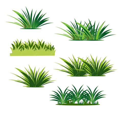 Premium Vector Vector Border Of Grass Realistic Style