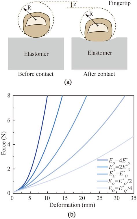 Contact Model A Deformation Process Of Elastomer Pressed By A