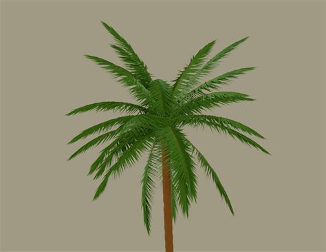 Palm Tree 3d Model Turbosquid 2132210