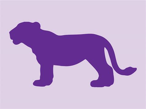 Lion Cub Vector Art And Graphics