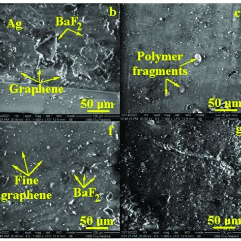 Sem Images Of The Samples After Photo Polymerization A R B R Download Scientific