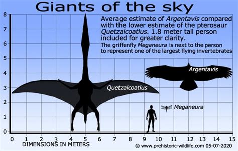 Why Did The Pterosaurs Go Extinct While Birds Didnt Revolution