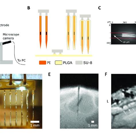 Overview Of Existing Multi Electrode Arrays Used For Nonhuman Primate