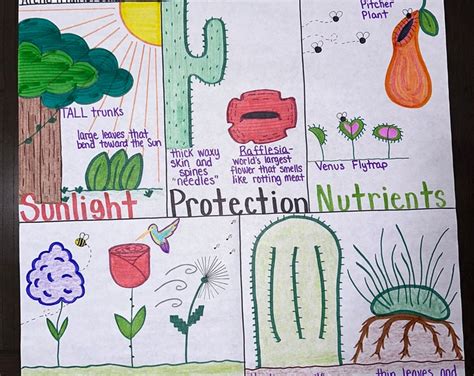 Plant Adaptations Anchor Chart For Elementary Middle And High School