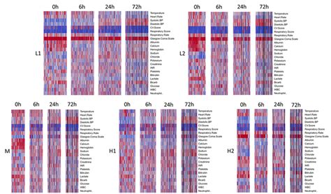 Time Evolution Of Heatmaps Within Clusters For Derivation Cohort Download Scientific Diagram