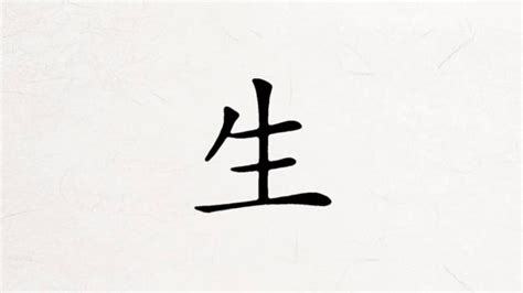 学汉字 生 Youtube