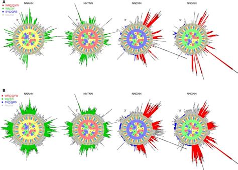 Hedgehog” Plots For The S5f Targeting Model For Somatic Hypermutation