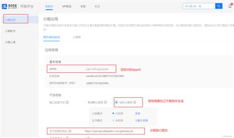 支付宝沙箱的使用 详细教程 支付宝沙箱支付教程 csdn博客