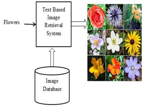 figure 1 from framework for image retrieval using protégé semantic
