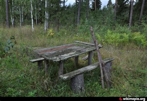 Садовое товарищество «Заволжье»