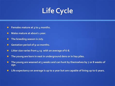 Ppt The Least Weasel Powerpoint Presentation Free Download Id1727639