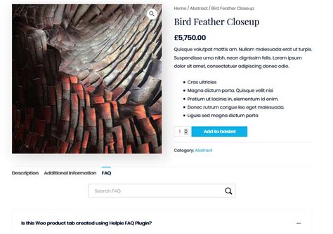 Free WooCommerce FAQ Plugin Adding FAQs To Woocommerce Products