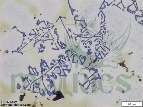 Microstructure Optical Microscopy Micro Graph In Kanyakumari Id 2851448967333