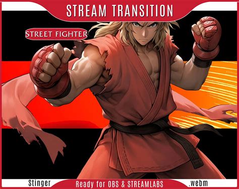 Animated Stinger Transition Transition Street Fighter Scene Transition Obs Stinger Stinger