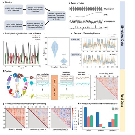 A Brainiak Simulation Pipeline B Noise Types C Signal Download Scientific Diagram