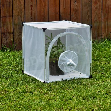 Bugdorm 4f4545 Insect Rearing Cage Veldshop