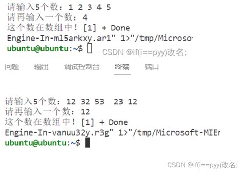 数组操作实例 csdn博客