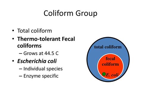 Microbiology Of Water And Air Ppt Download