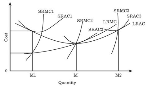 Long Run Average Cost Curve Davinabbfrazier