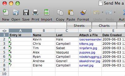 Download Files From Excel Export Wufoo