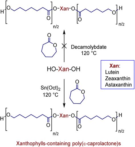 Sustainable Xanthophylls Containing Polyε Caprolactones Synthesis Characterization And Use