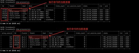oceanbase4 2 obproxy客户端连接数和服务端连接数怎么看，observer连接数如何看 oceanbase 技术问题