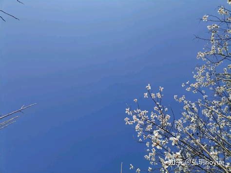 核酸的结构与功能 知乎