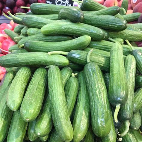 Persian Cucumbers Information Recipes And Facts