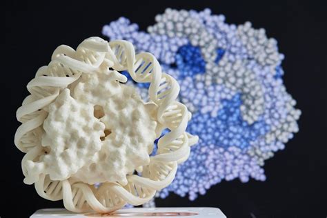 Pathogen Identification — Next Generation Sequencing Optimizes Diagnostics Innovations Report