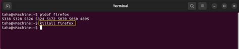 How To Kill Processes In Ubuntu LinuxWays