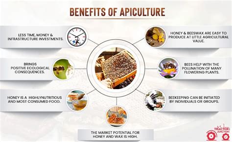What Is Apiculture Know The Methods Cost And Profits Of Apiculture