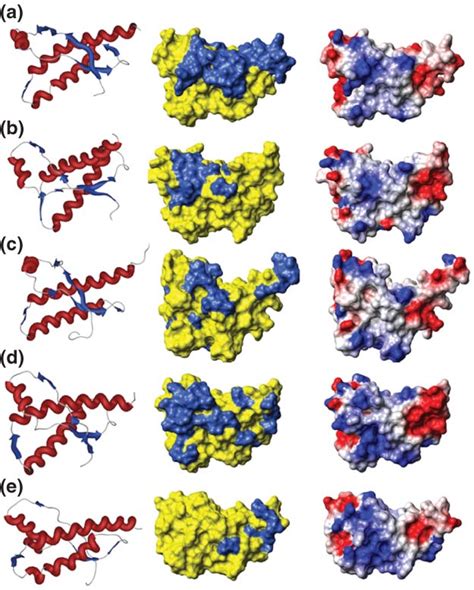 Differences In The Predicted Dna Binding Sites Electrostatic Potential