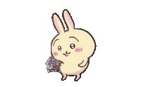 Usagi Chiikawa Sticker Usagi Chiikawa Usagi Chiikawa Discover