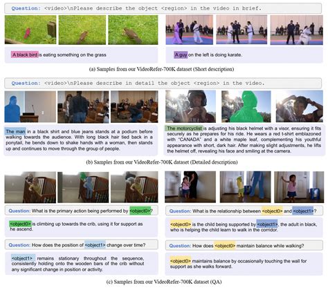 DAMO NLP SG VideoRefer K Datasets At Hugging Face